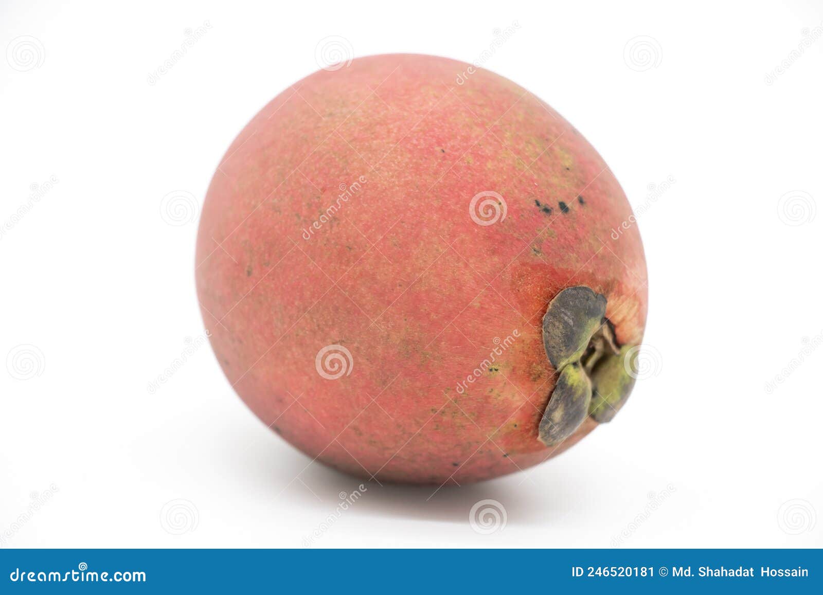 Velvet Apple Fruit Isolate on White Stock Image - Image of health ...