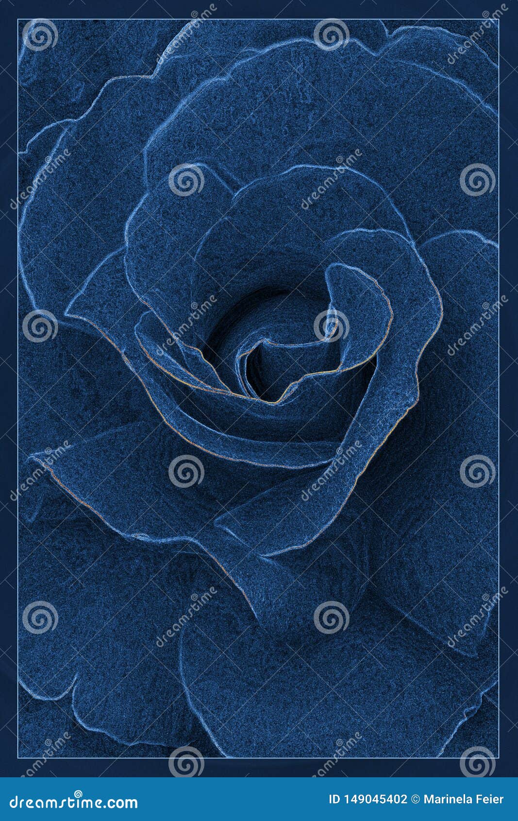 Velvet blue rose stock photo. Image of yellow, blue - 149045402