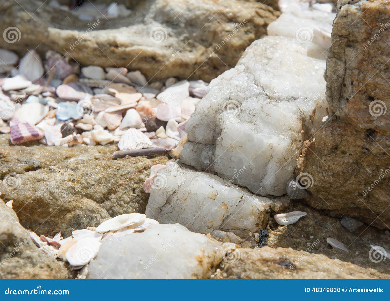 Vena de la calcita en roca foto de archivo. Imagen de vena - 48349830