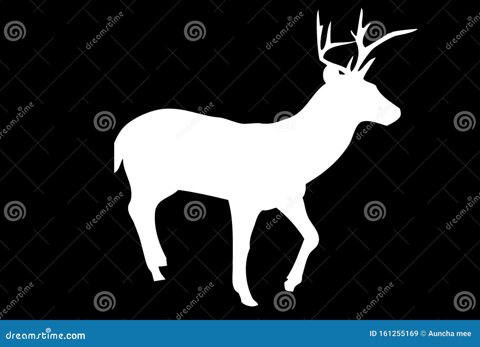 Venado Blanco Aislado En Fondo Negro Stock de ilustración - Ilustración ...