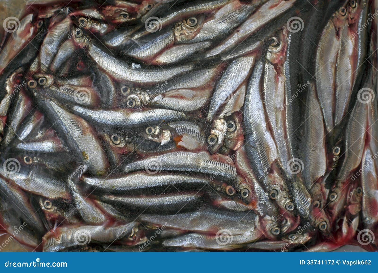 Vendace-Fische stockfoto. Bild von meer, würzig, hintergrund - 33741172