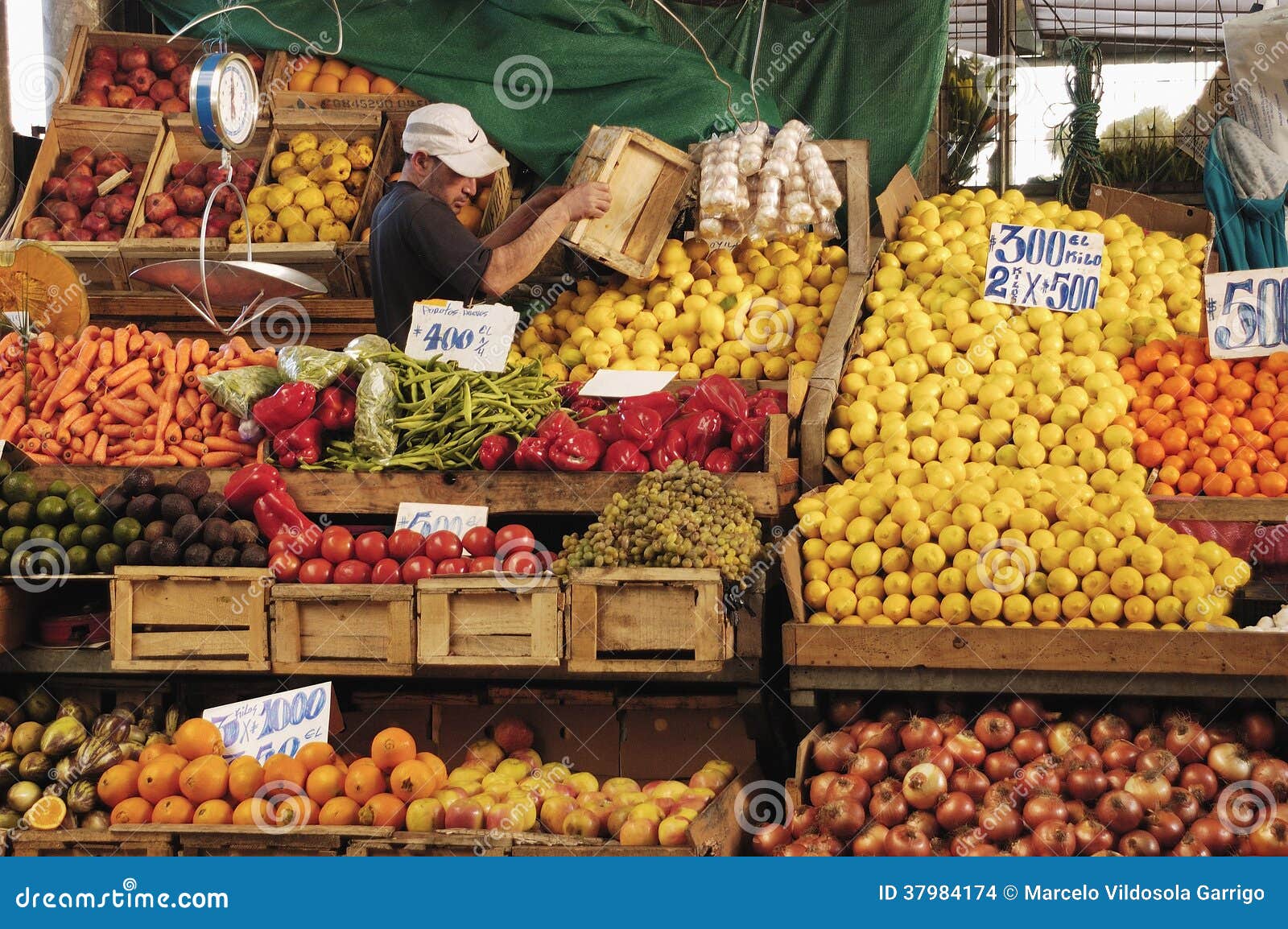 Vendedor De La Fruta Y Verdura Imagen de archivo editorial - Imagen de ...