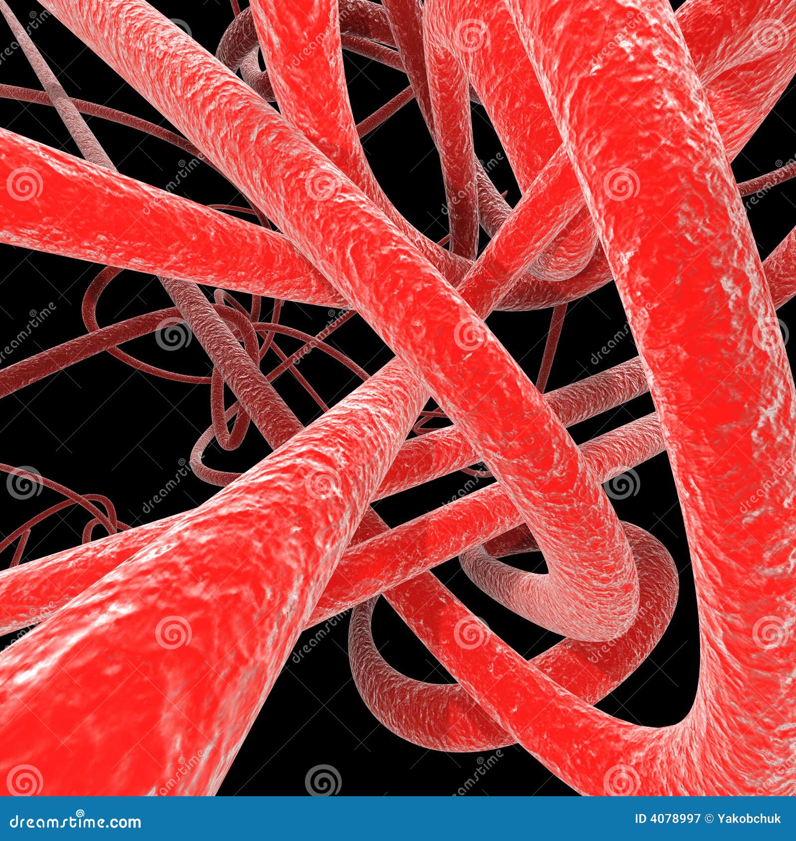 Vene illustrazione di stock. Illustrazione di biologia - 4078997