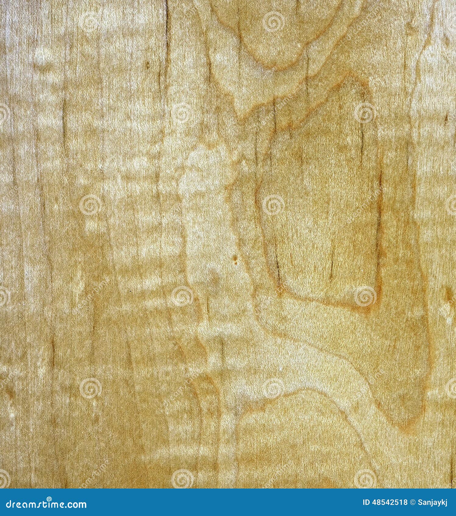 Veneer texture stock photo. Image of light, decor, grain - 48542518