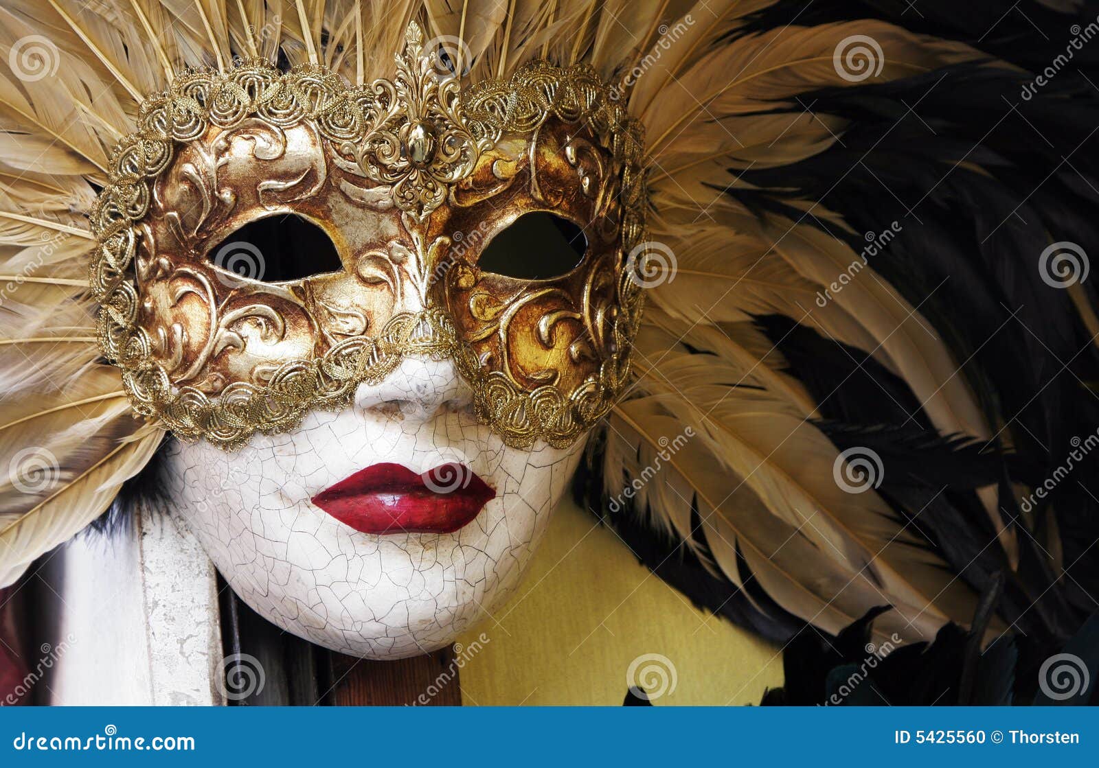 Venetian Carnival Mask Patterned Asymmetrical Frontal Picture Royalty ...