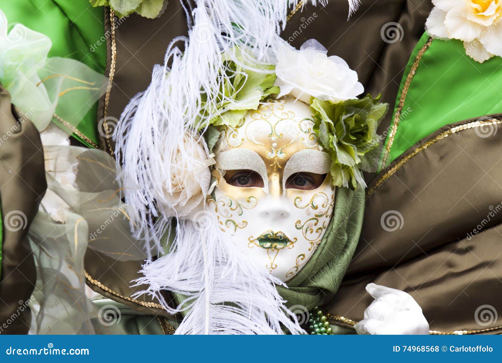 Venetian Carnival Mask - Lady Nature Editorial Stock Photo - Image of ...
