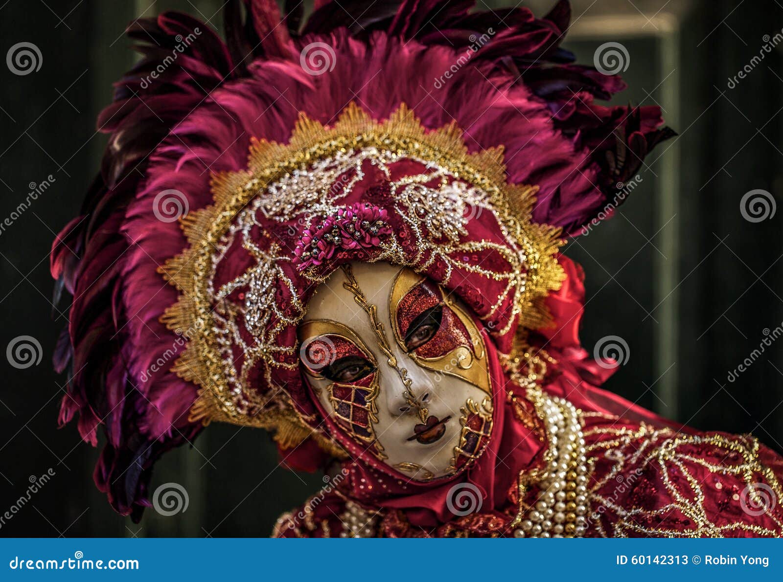 Venetian Masked Model stock image. Image of models, venetian - 60142313