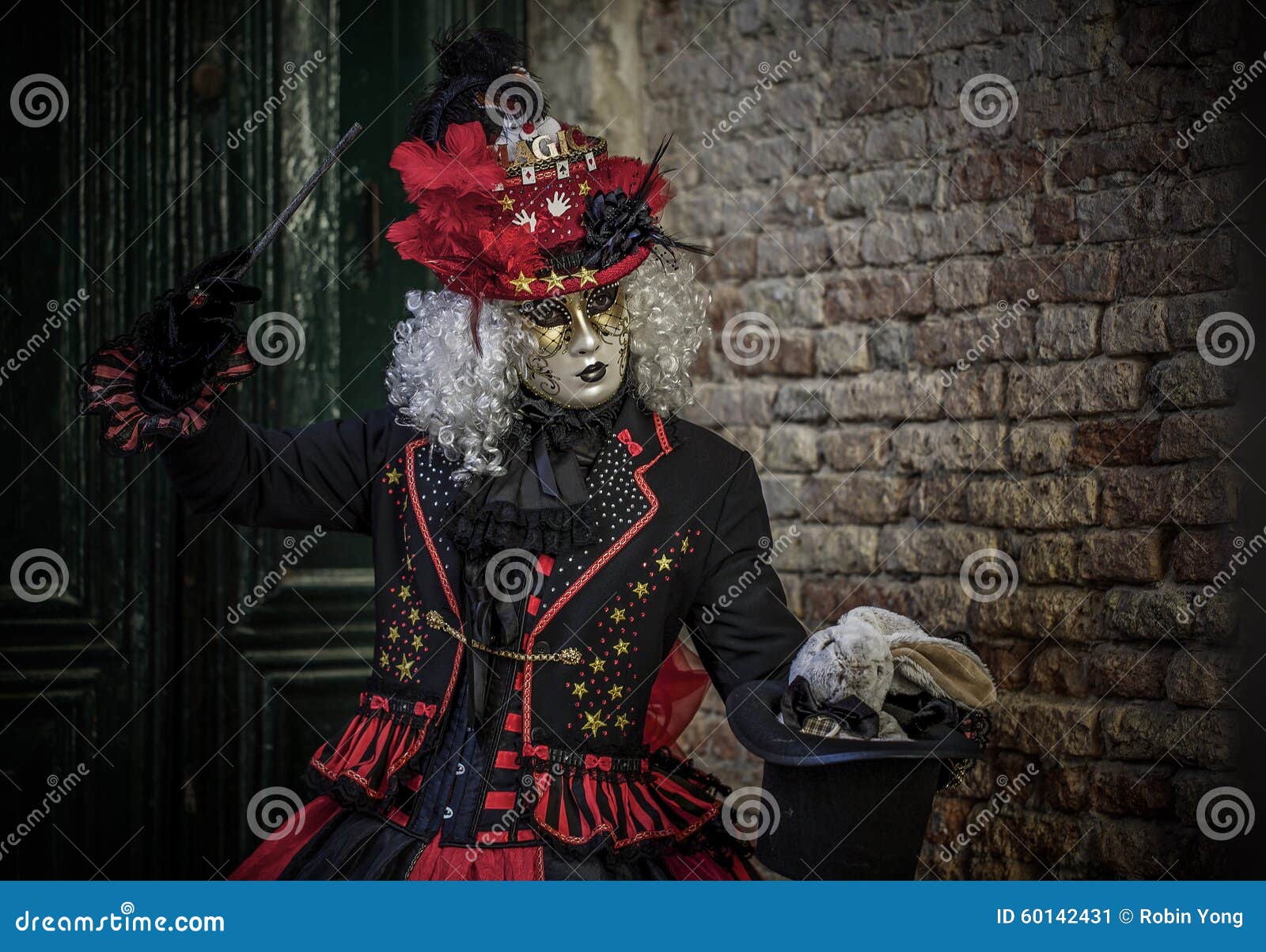 Venetian Masked Model stock image. Image of carnival - 60142431