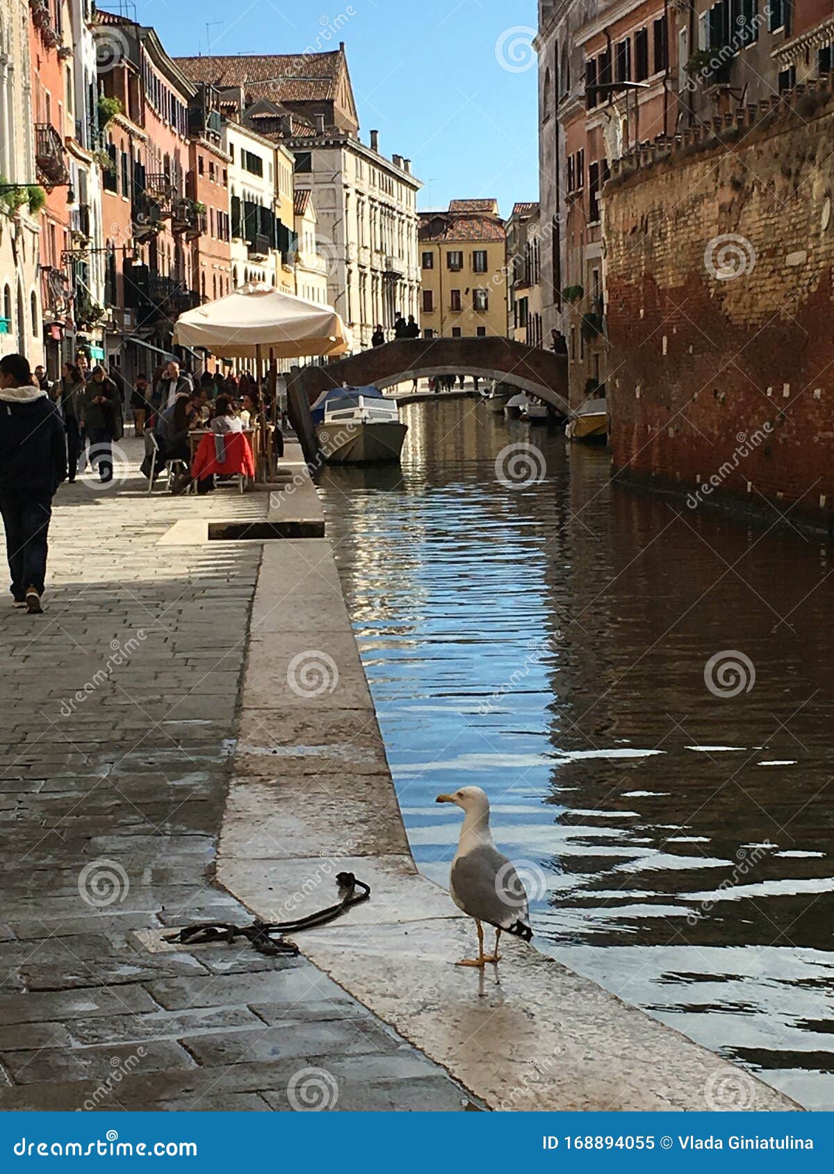 Bird People River Bridge Water Editorial Image - Image of river, people ...
