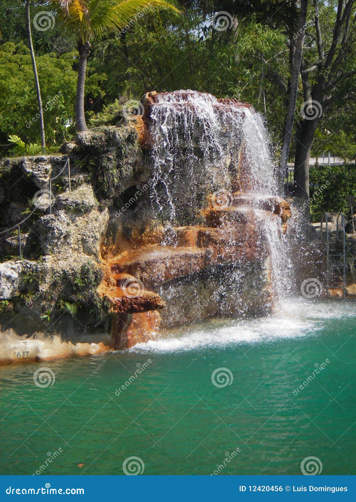 Venetian Pool in Miami stock photo. Image of coral, water - 12420456