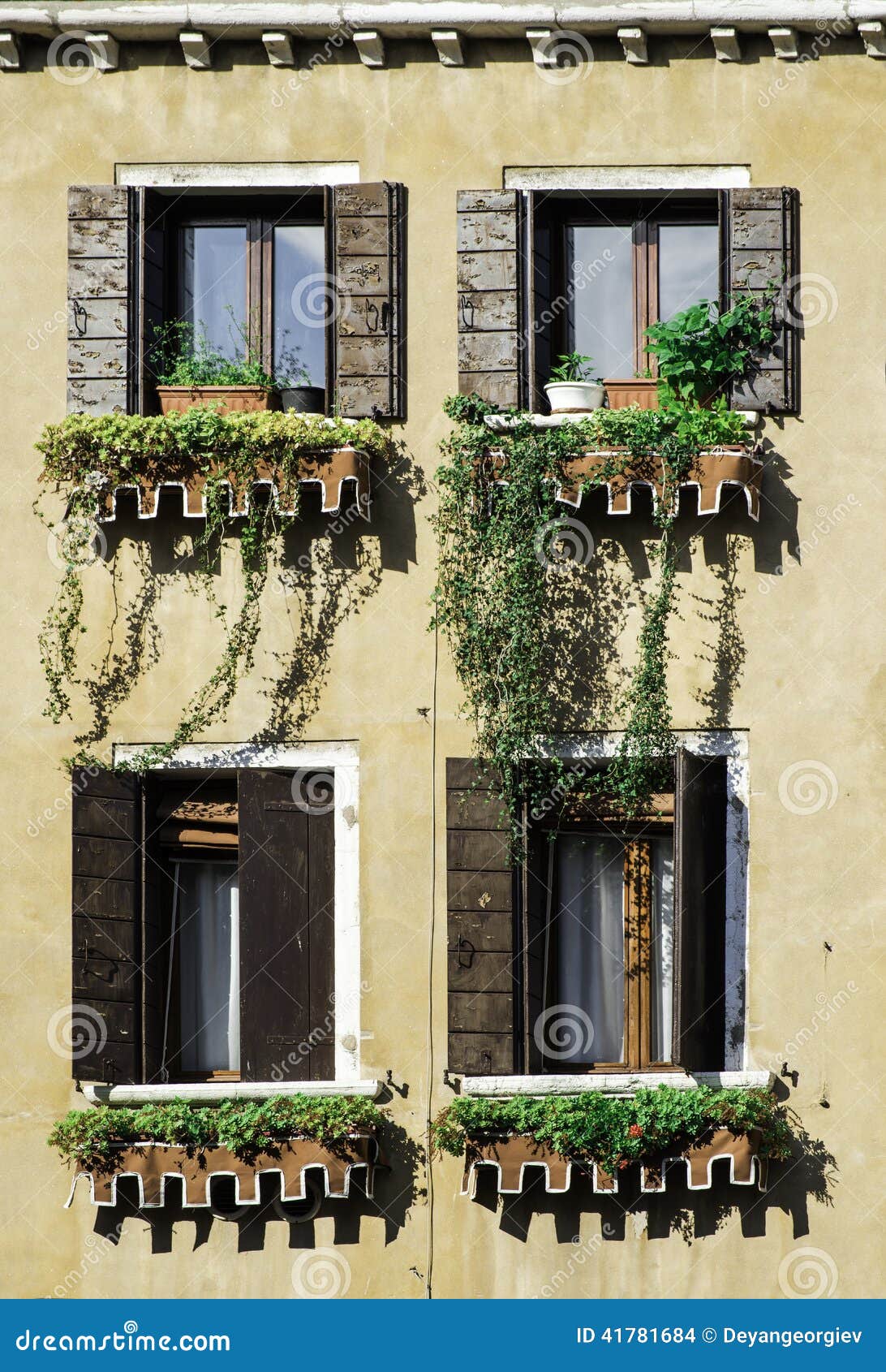 Venetian Windows with Flowers Stock Photo - Image of colorful, flower ...