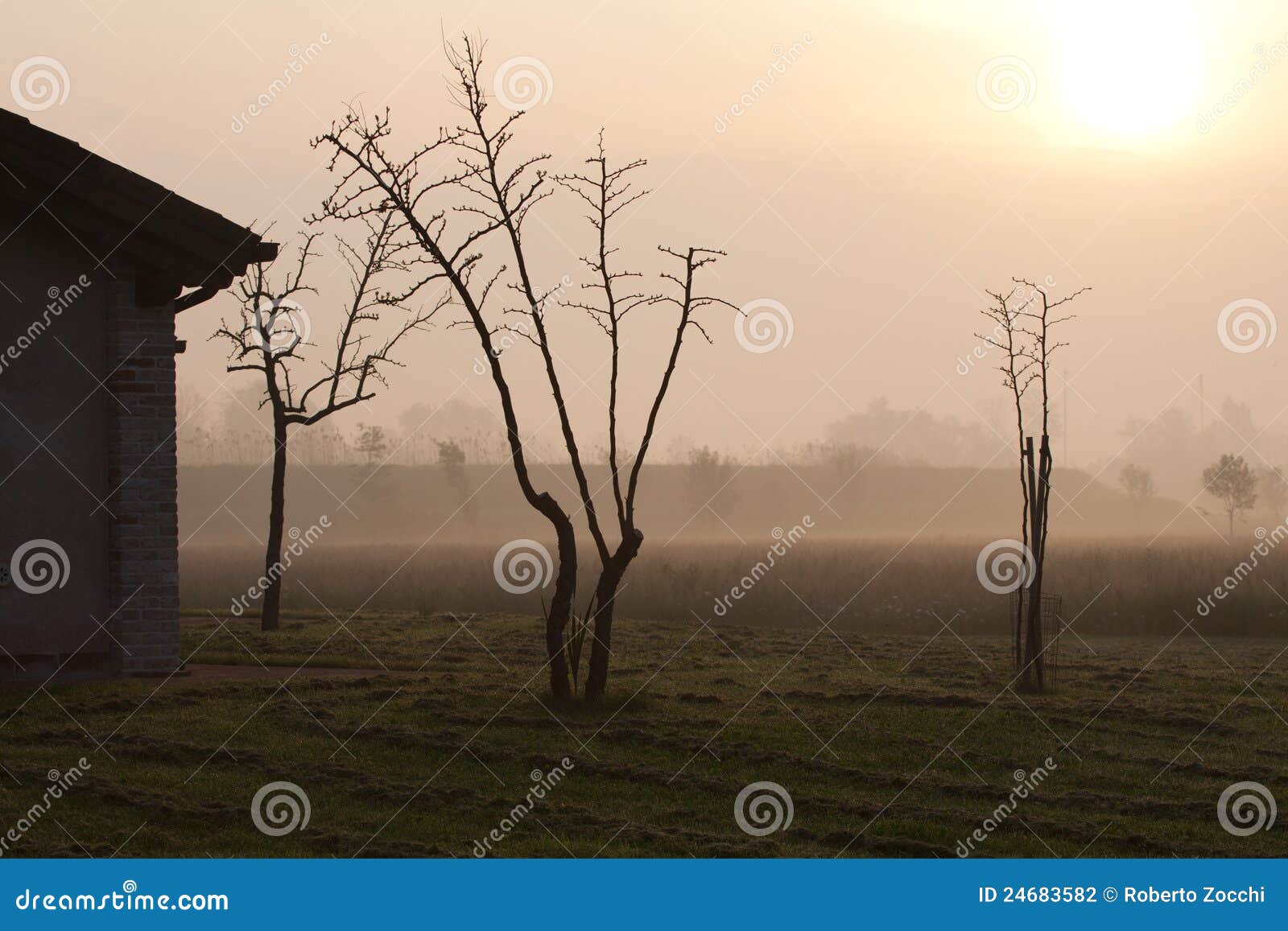 Veneto countryside stock photo. Image of landscape, farming - 24683582