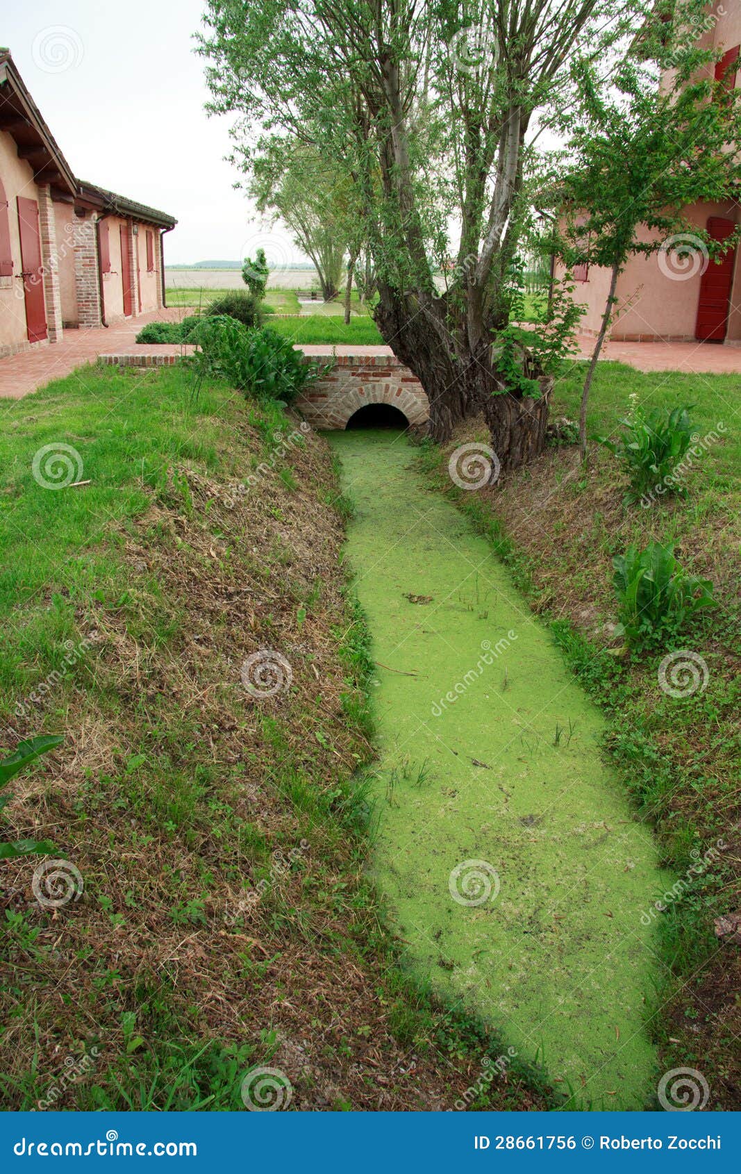 Veneto countryside stock photo. Image of irrigation, channel - 28661756