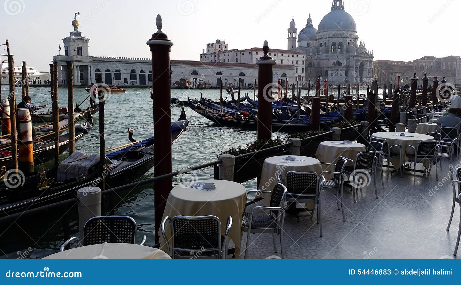 Venice editorial stock photo. Image of venice, nature - 54446883