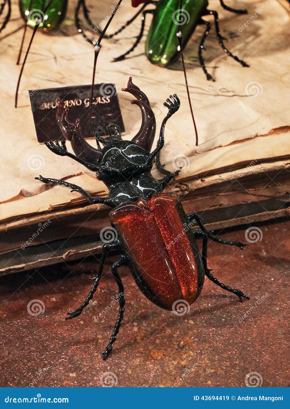 Venice - Glass insects stock image. Image of insect, beetle - 43694419