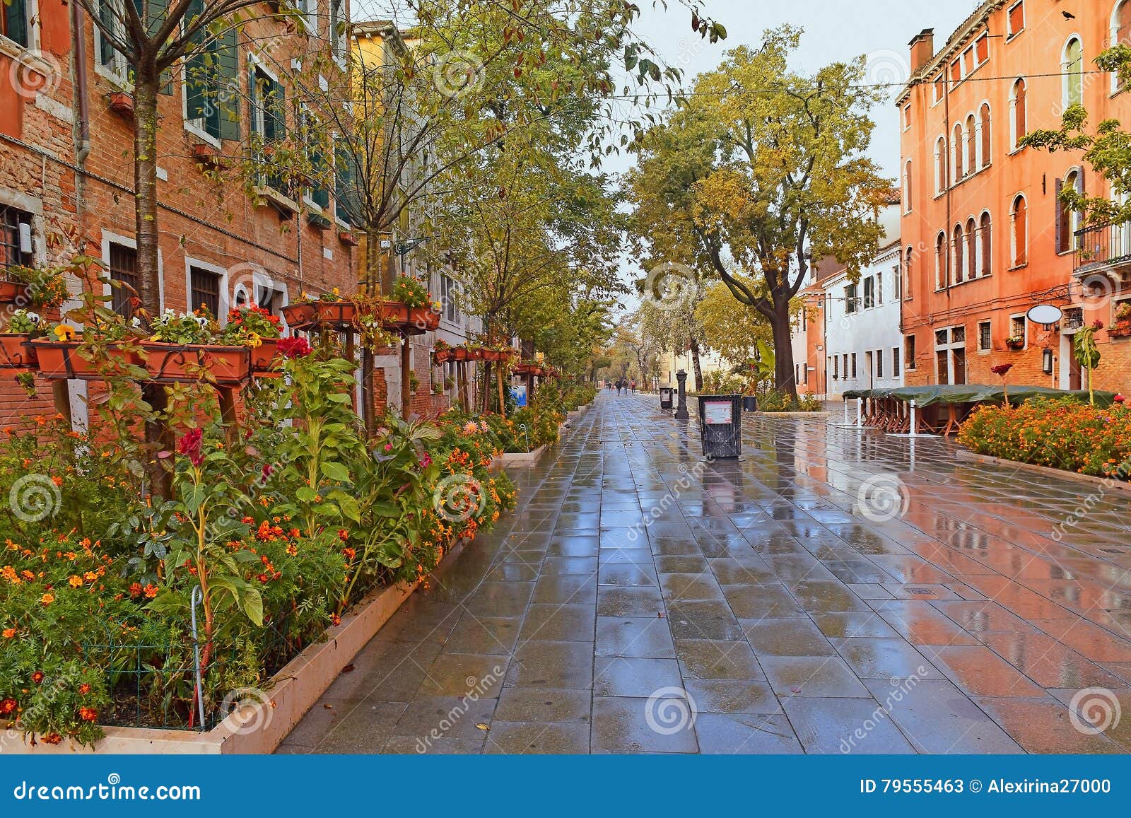 Venice after the rain stock image. Image of city, museum - 79555463