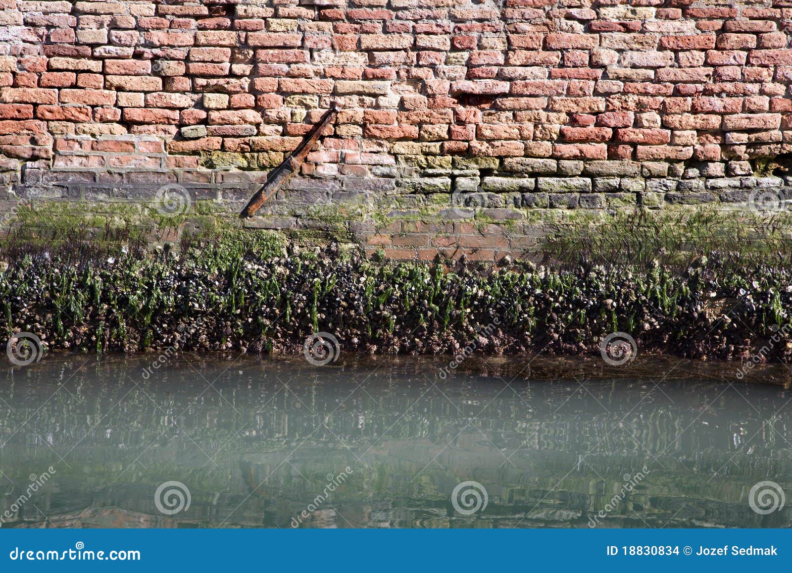 Venice - Wall of House and Sea Stock Photo - Image of venice ...