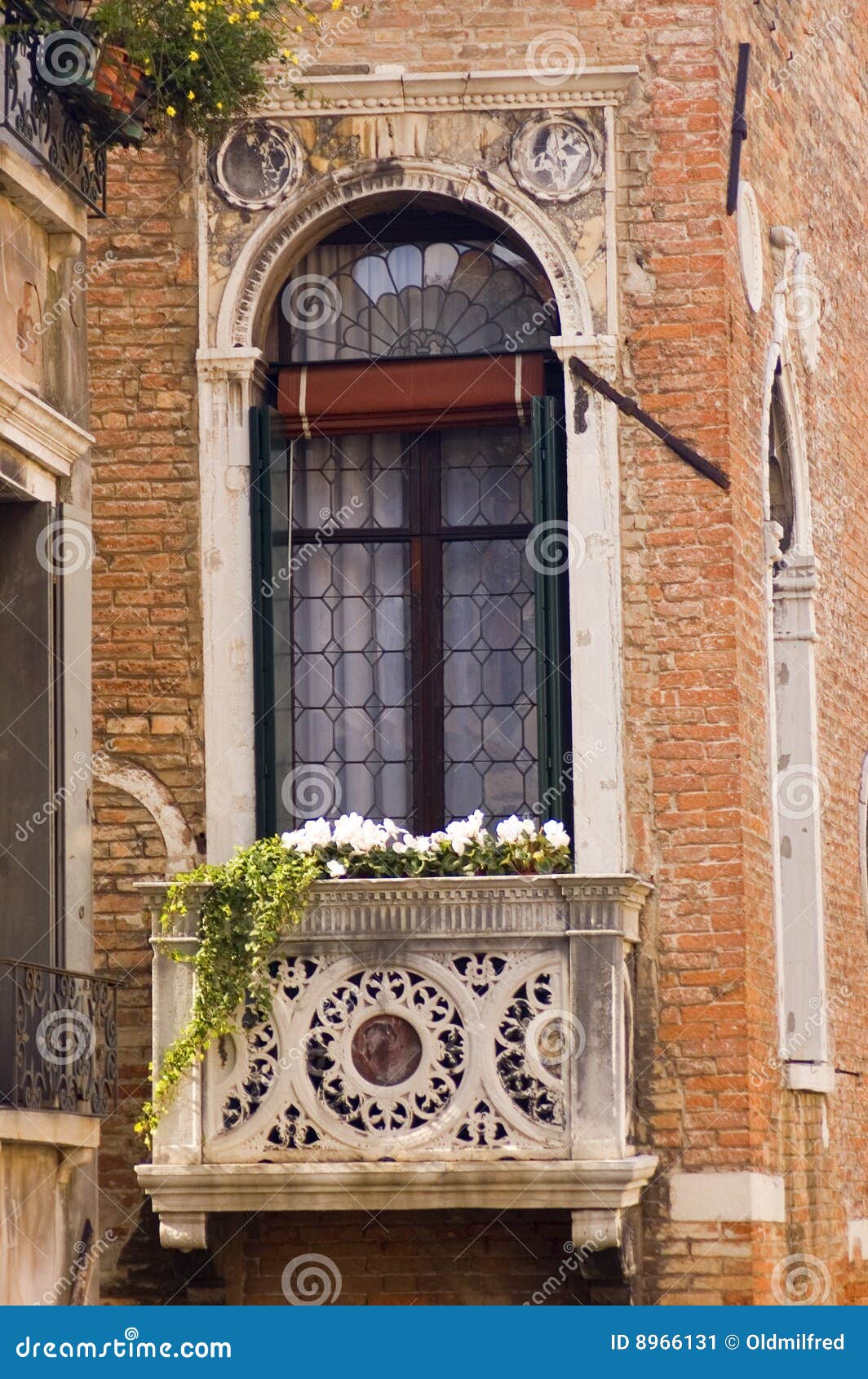 Venice window stock image. Image of window, flowers, venice - 8966131