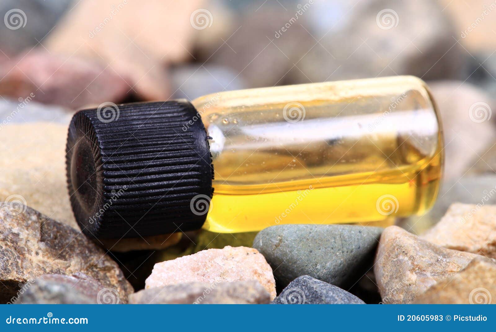 Venin de serpent image stock. Image du poison, serpent - 20605983