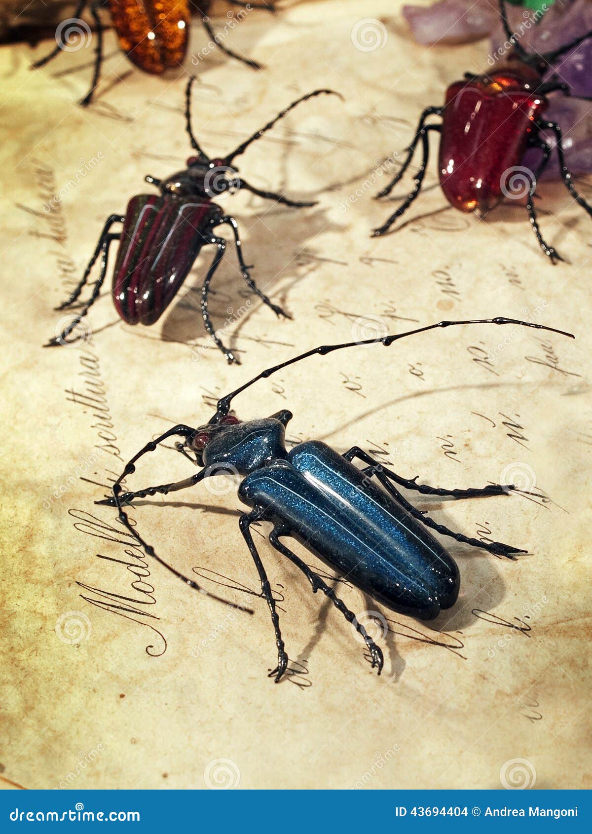 Venise - insectes en verre photo stock. Image du venise - 43694404