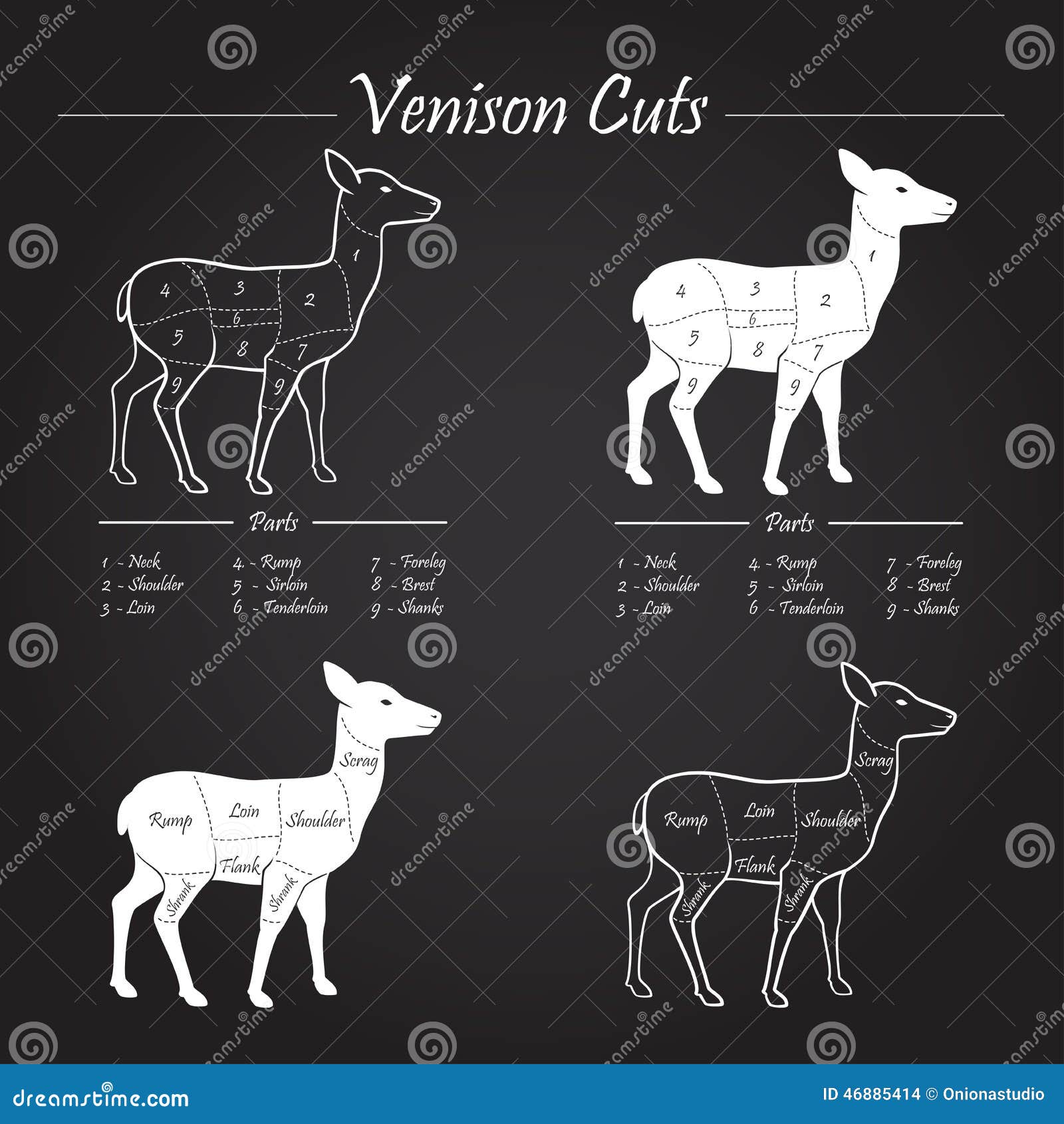Venison Meat Cut Diagram Scheme - Blackboard Stock Vector ...