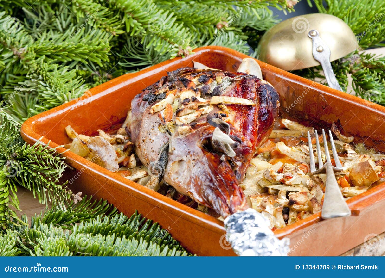 Venison rump stock image. Image of interior, interiors - 13344709