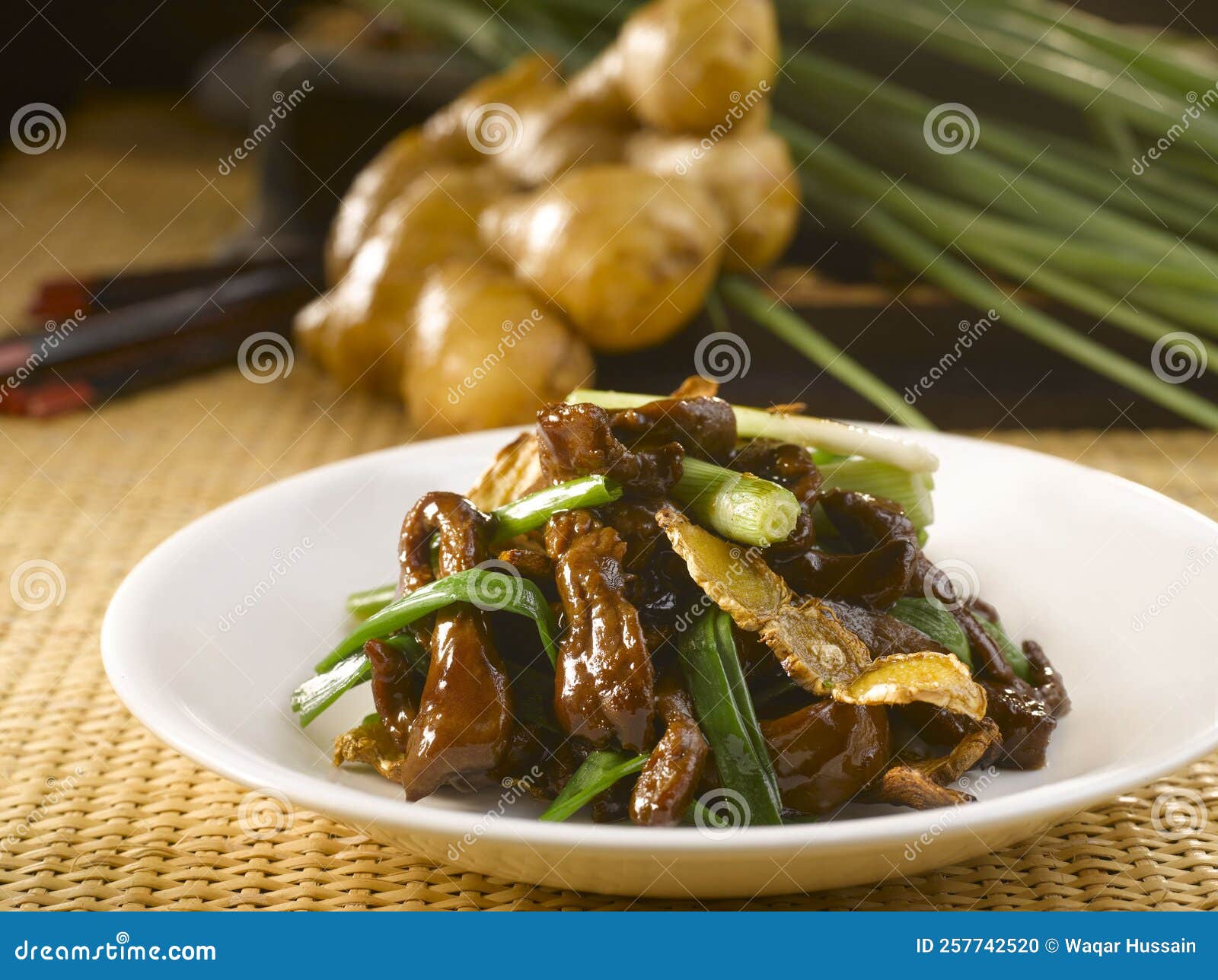 Venison with Spring Onion and Ginger Served in a Dish Isolated on Table ...