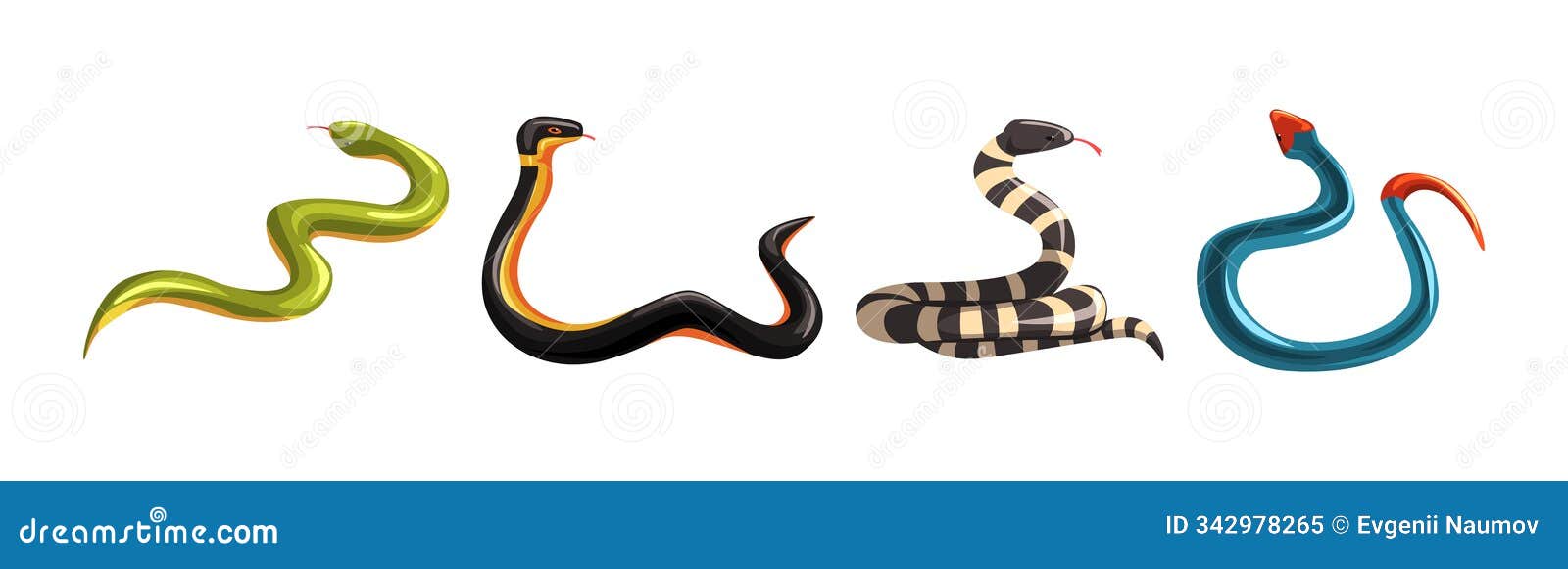 Venomous Snake and Serpent of Different Type Vector Set Stock ...