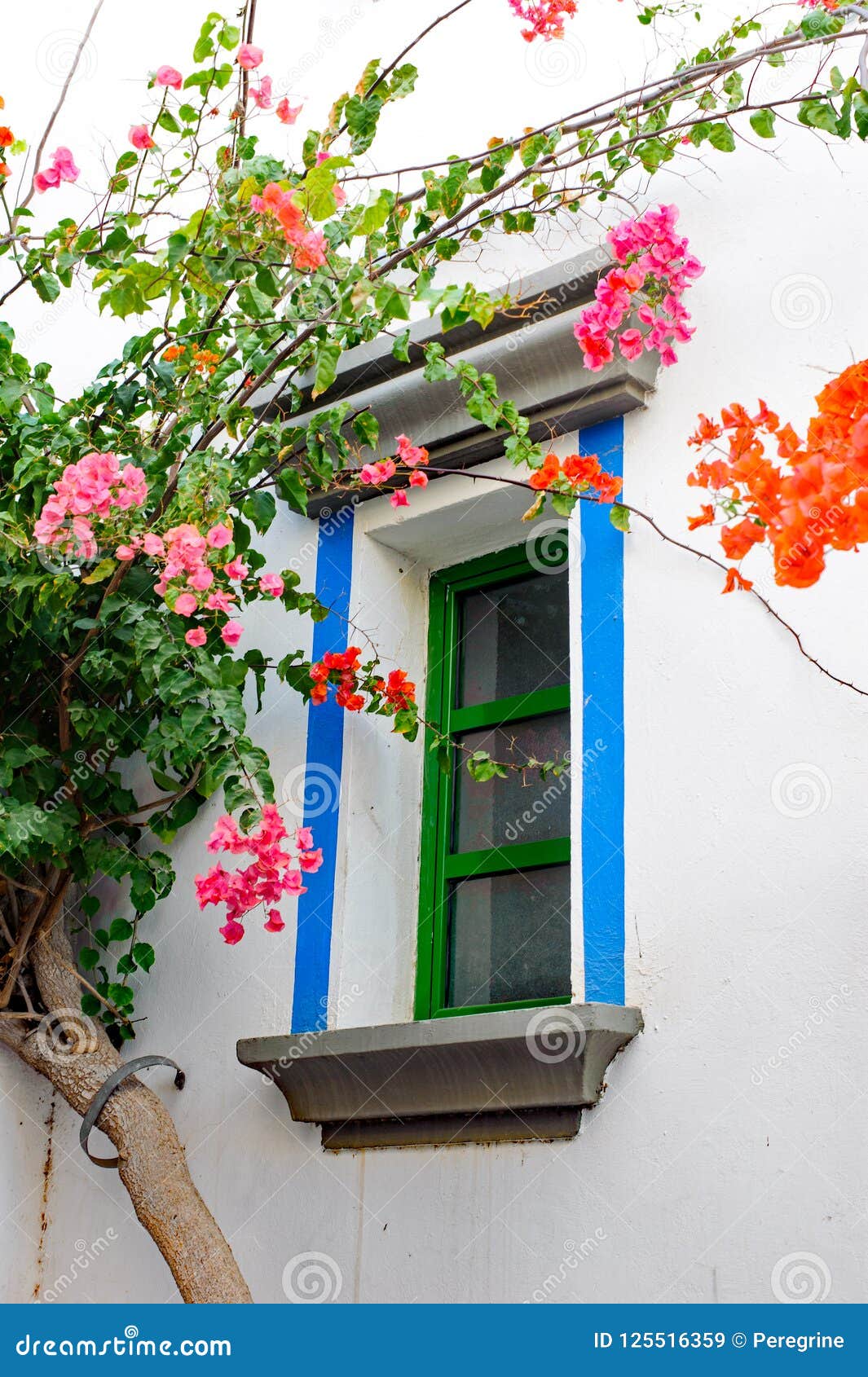 Ventana con las flores imagen de archivo. Imagen de hogar - 125516359
