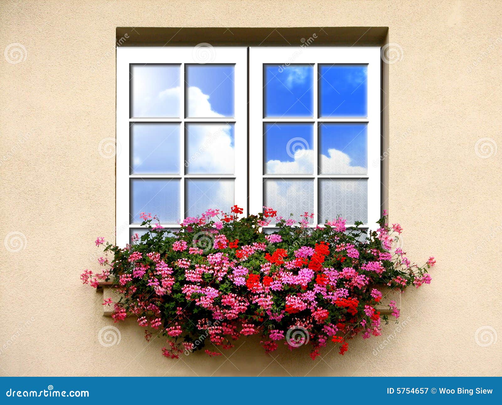 Ventana con las flores imagen de archivo. Imagen de fondo - 5754657