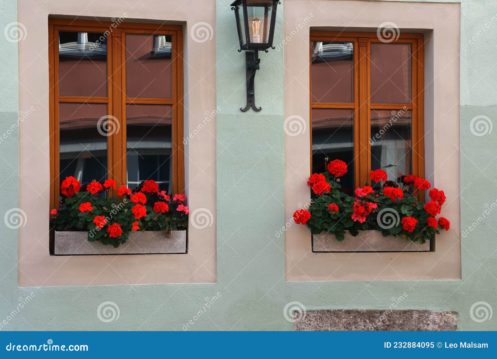 Ventanas Con Hermosas Flores En El Ventanal Imagen de archivo - Imagen ...