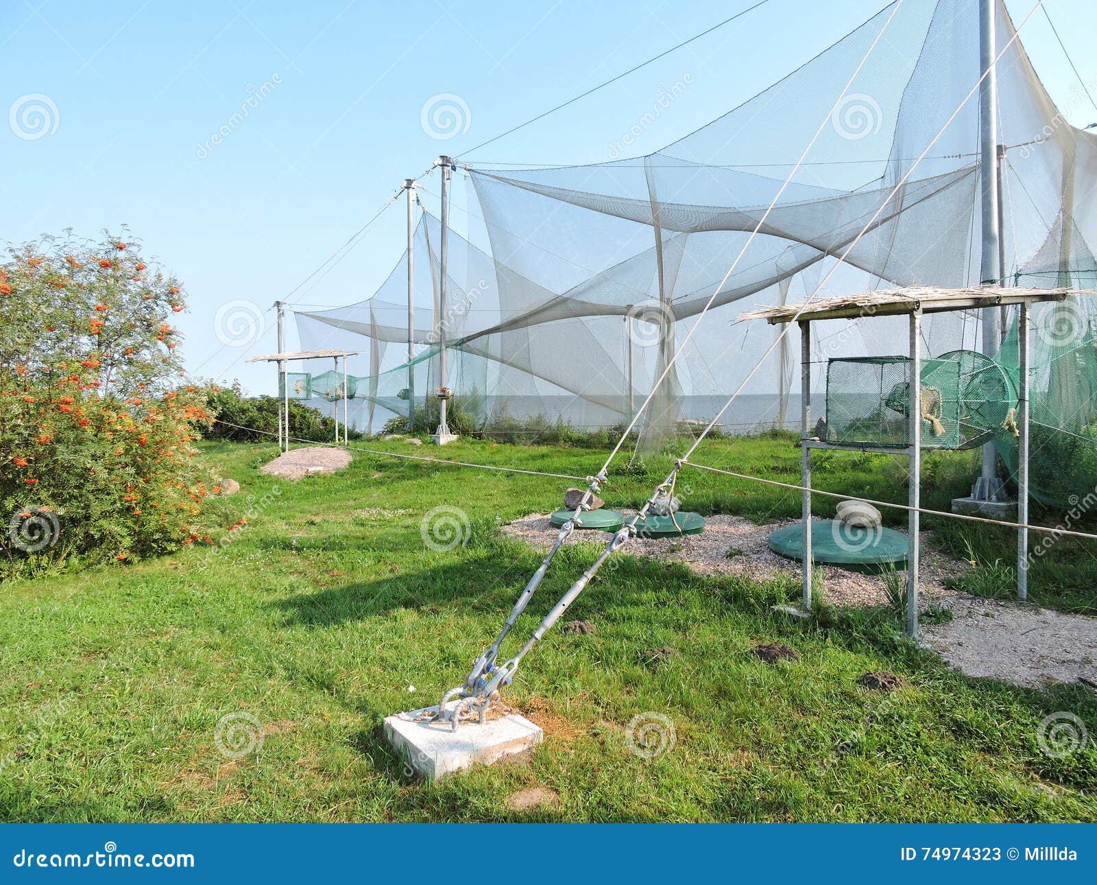 Ventes Ragas Cape, Lithuania Stock Image - Image of cape, ringing: 74974323