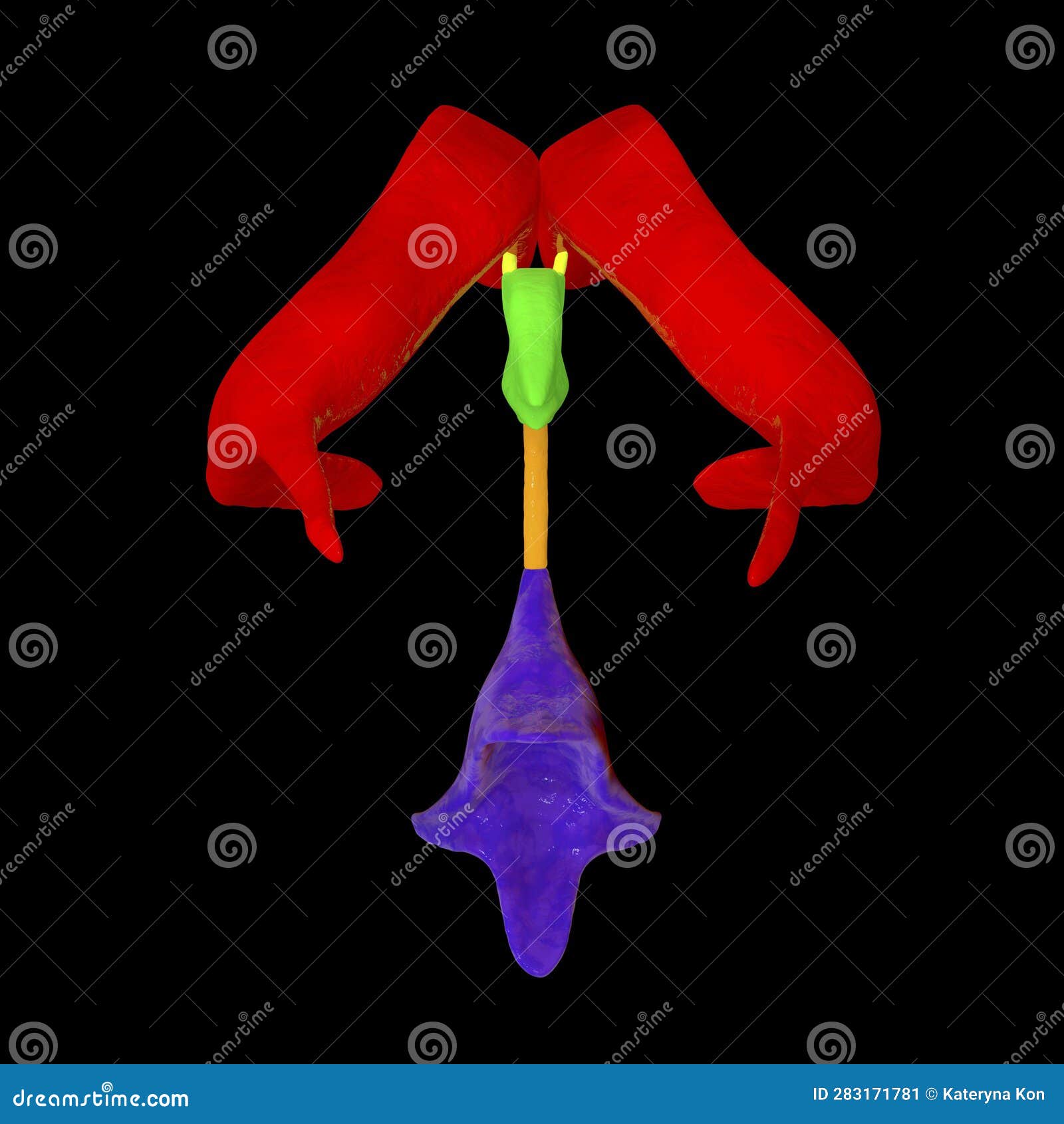 Ventricular System of Brain, 3D Illustration Stock Illustration ...