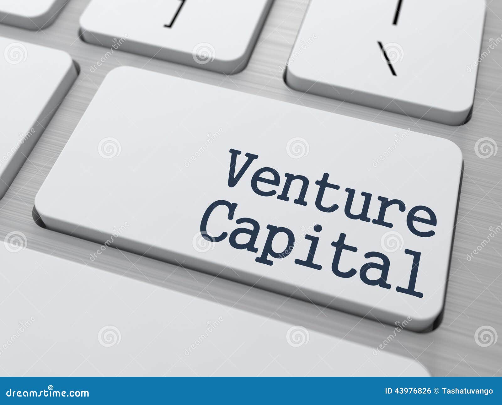 Venture Capital on Keyboard Button. Stock Photo - Image of button ...