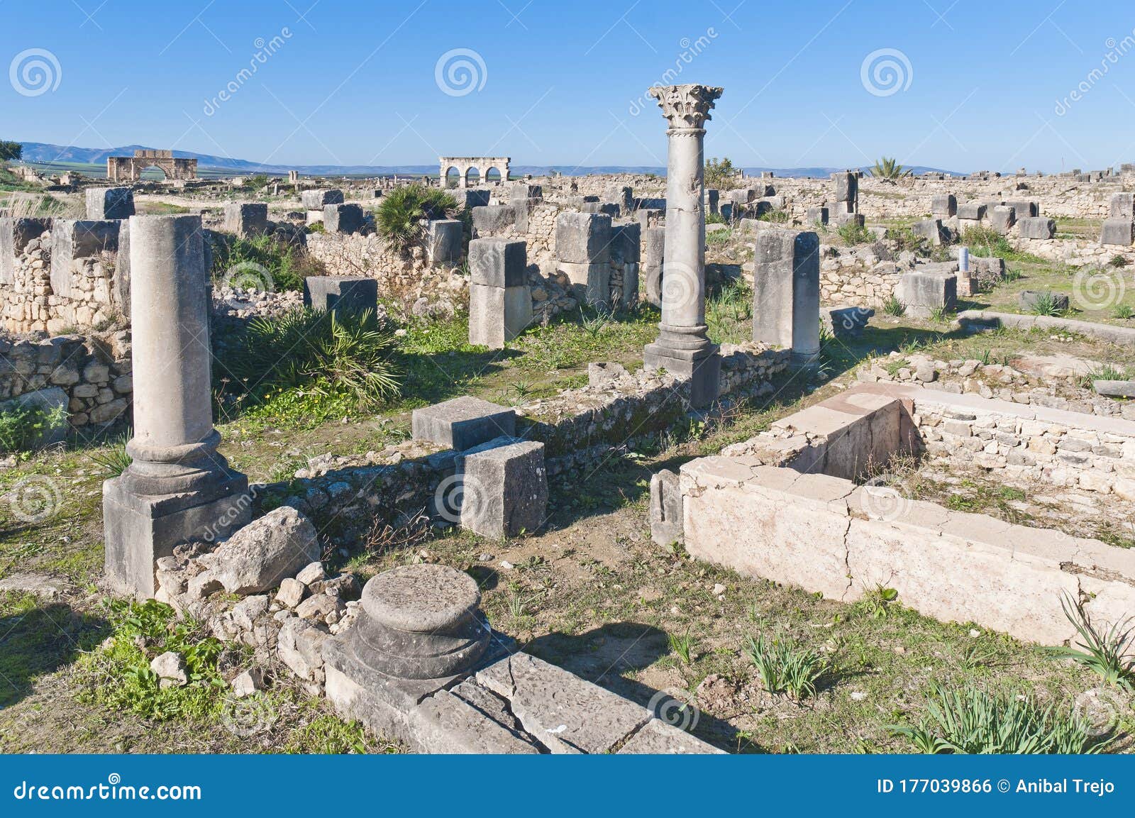 Venus Entourage House at Volubilis, Morocco Stock Photo - Image of ...