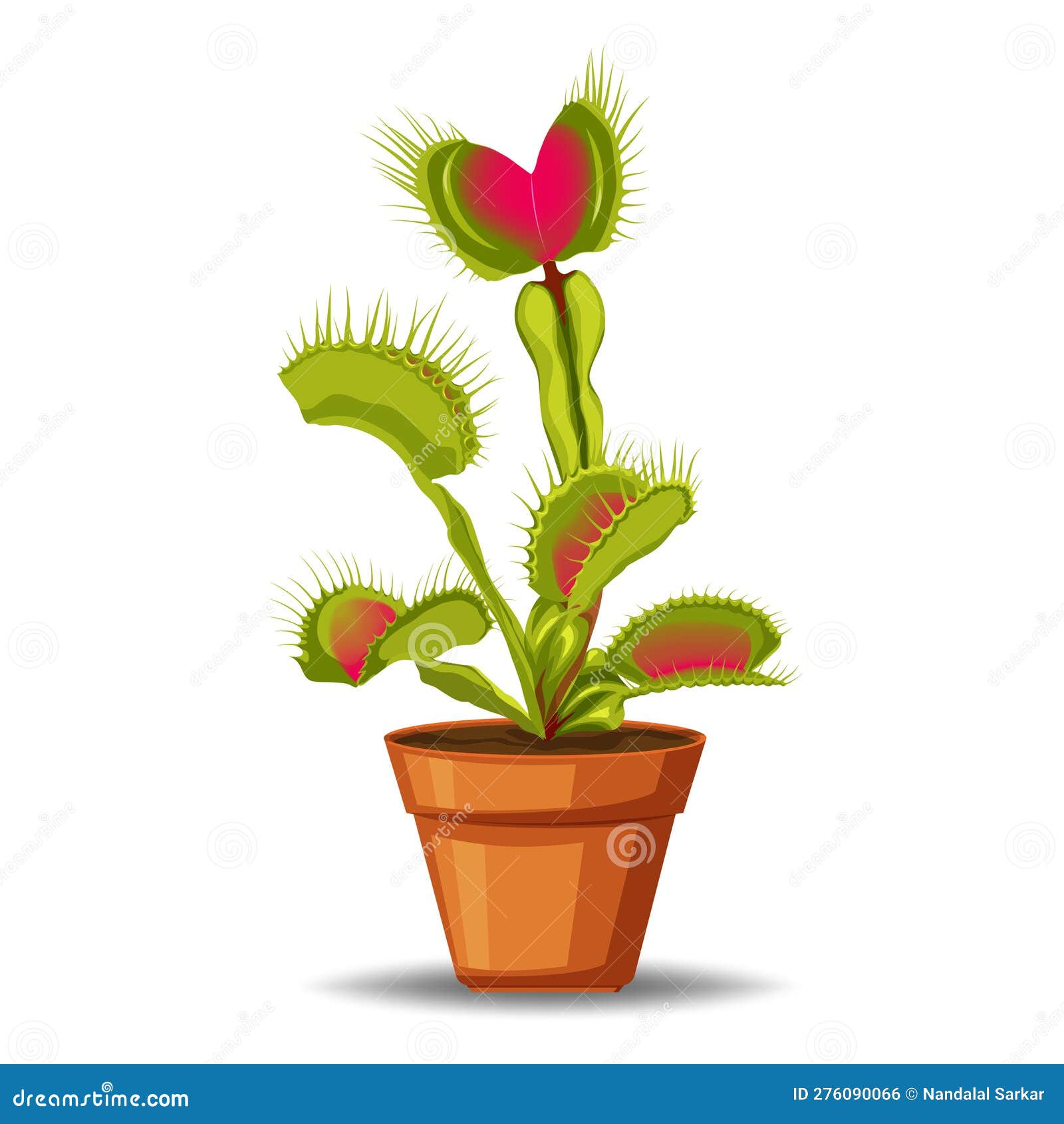 Leaves Of Venus Flytrap Or Dionaea Muscipula Cartoon Vector ...