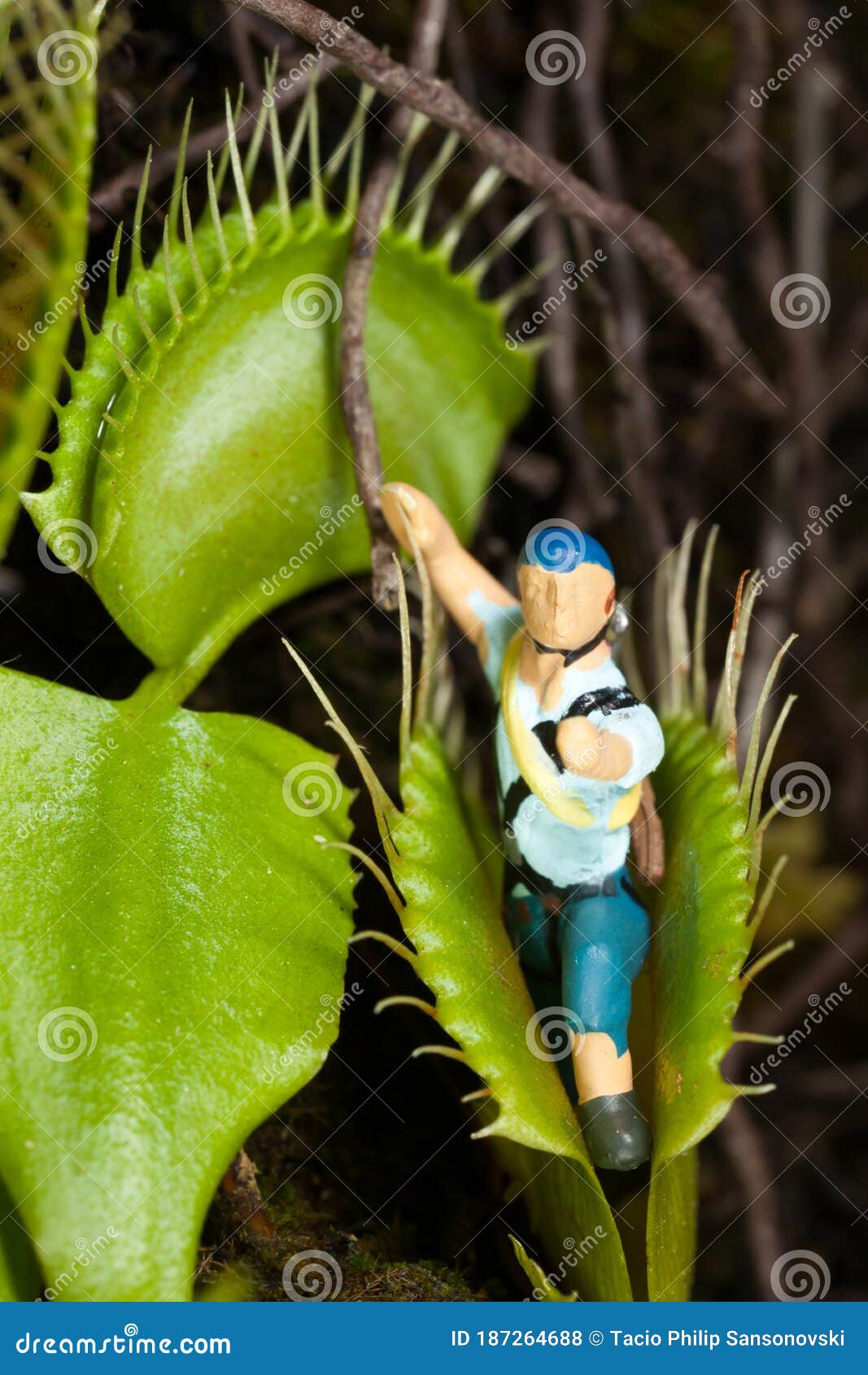 Human Eating Plants