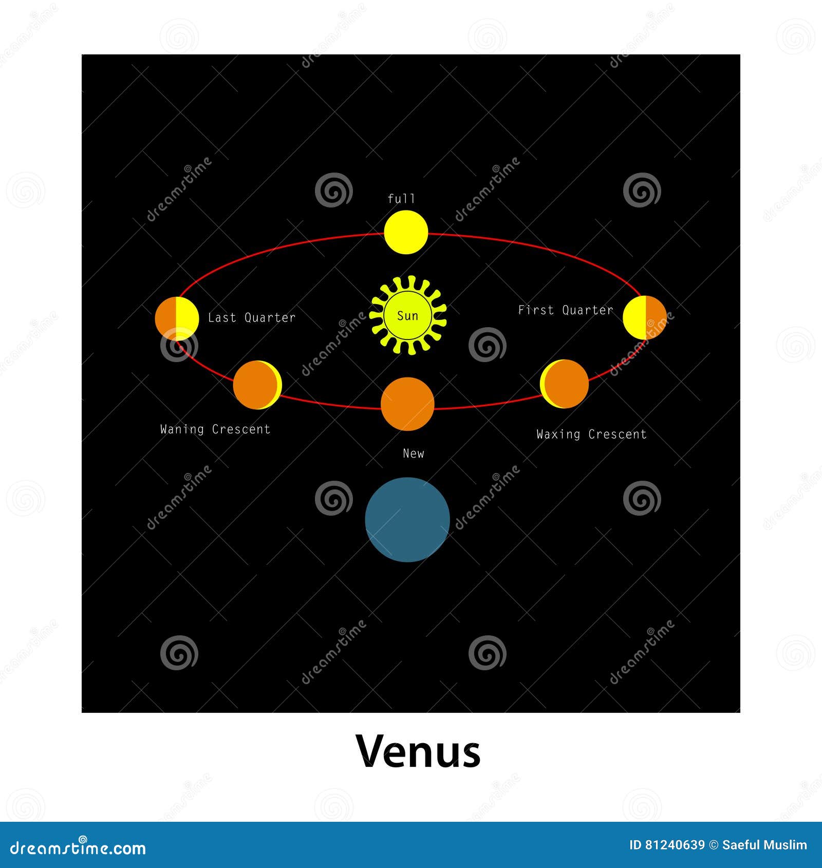 Venus movement stock vector. Illustration of object, science - 81240639