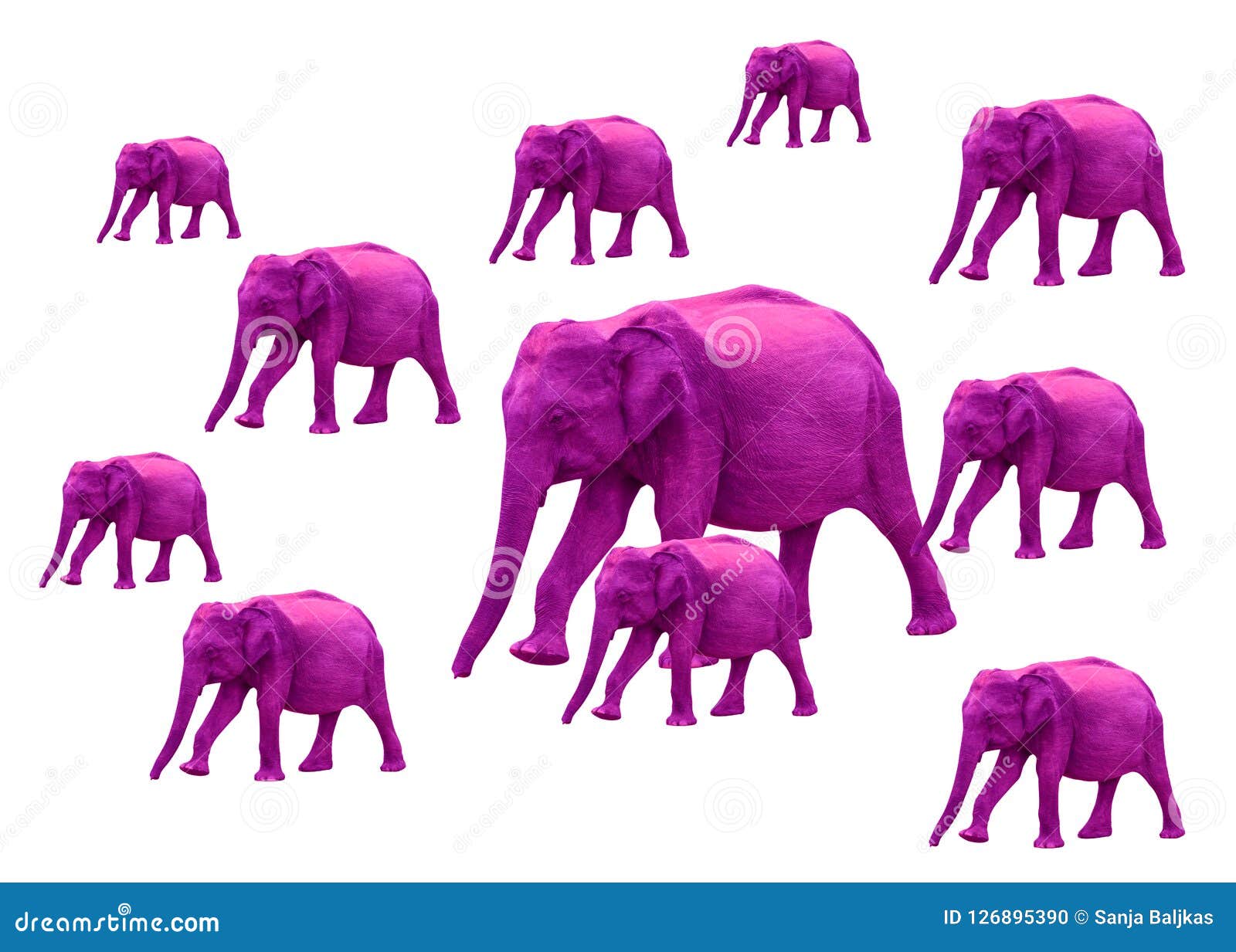 Elefantes Rosados Fotos de stock - Fotos libres de regalías de Dreamstime