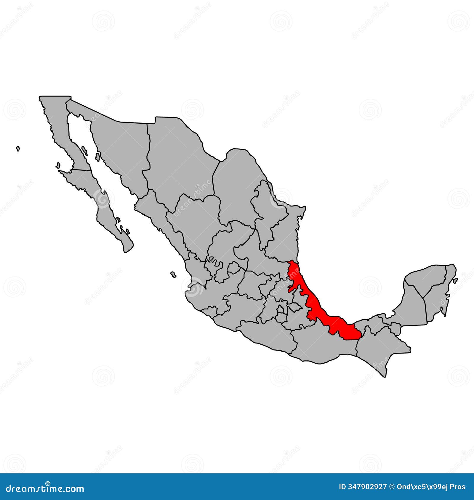 Veracruz Map Vector | CartoonDealer.com #128758983