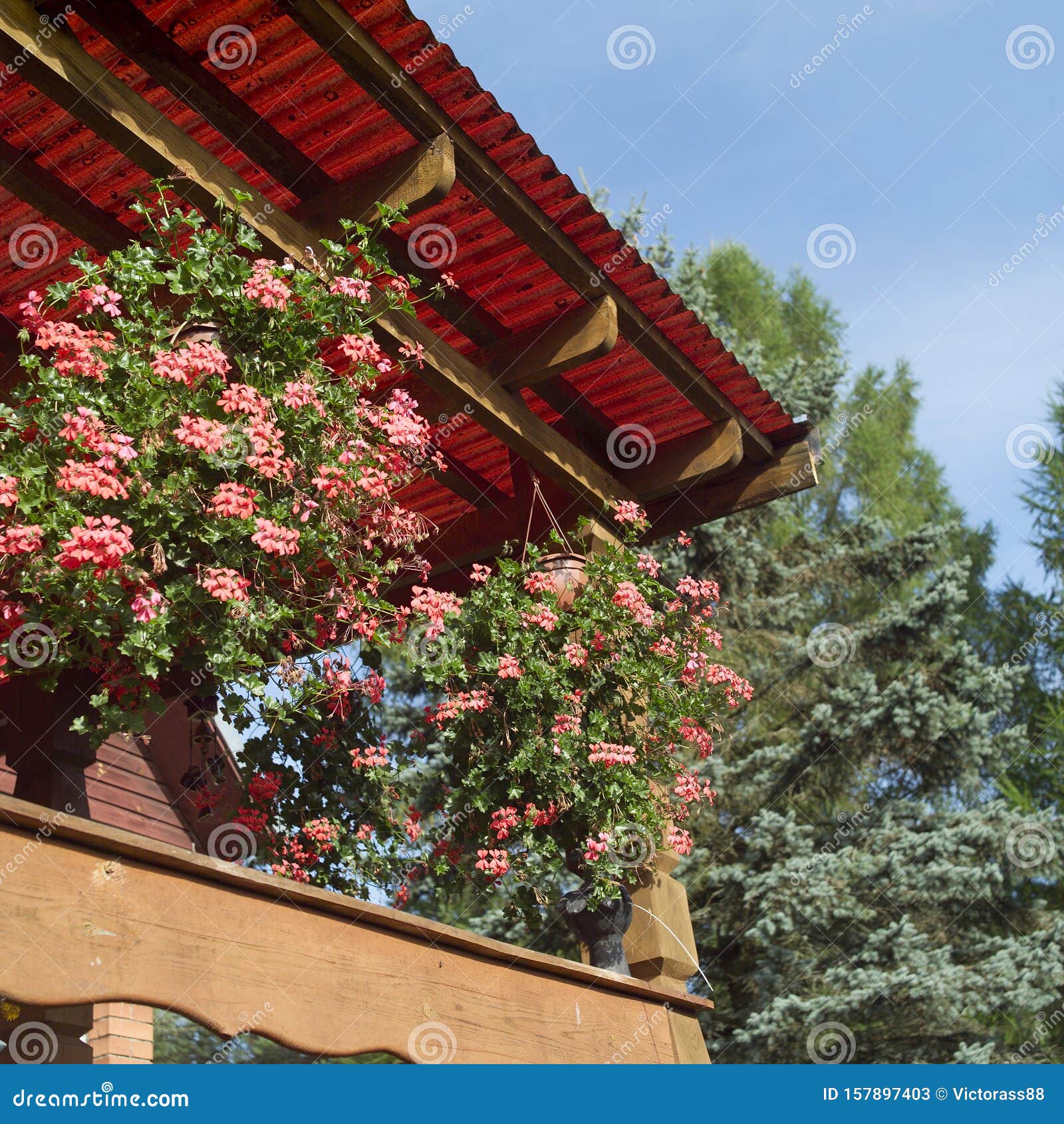 Veranda Con Hermosas Flores Rojas Imagen de archivo - Imagen de cielo ...