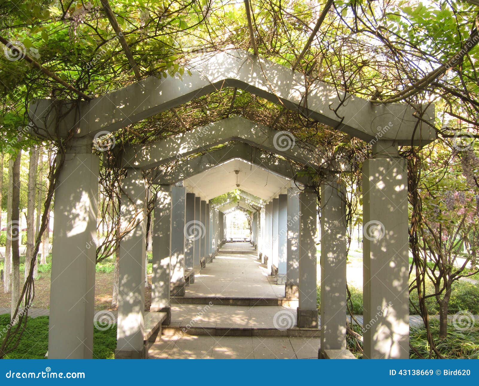 Veranda stock image. Image of sunlight, veranda, good - 43138669