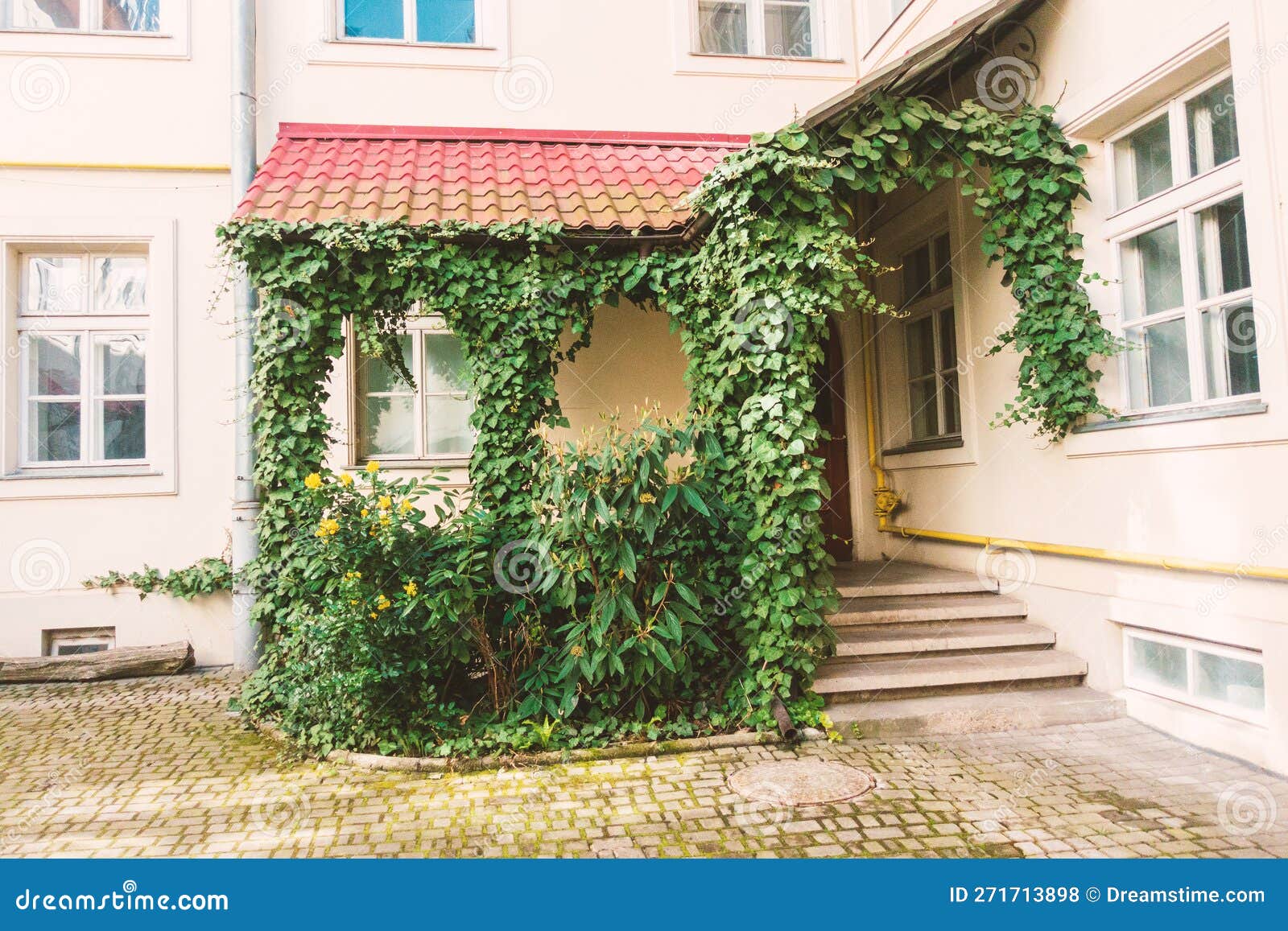 The Veranda of the House is Covered with Climbing Greenery Stock Photo ...