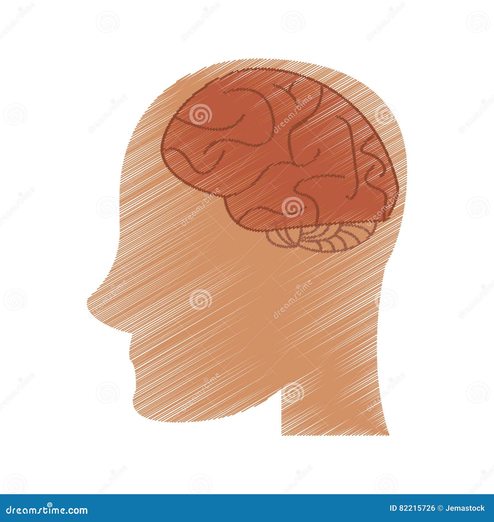 Verbeelding Van Het De Hersenenidee Van Het Tekeningsprofiel De Hoofd ...
