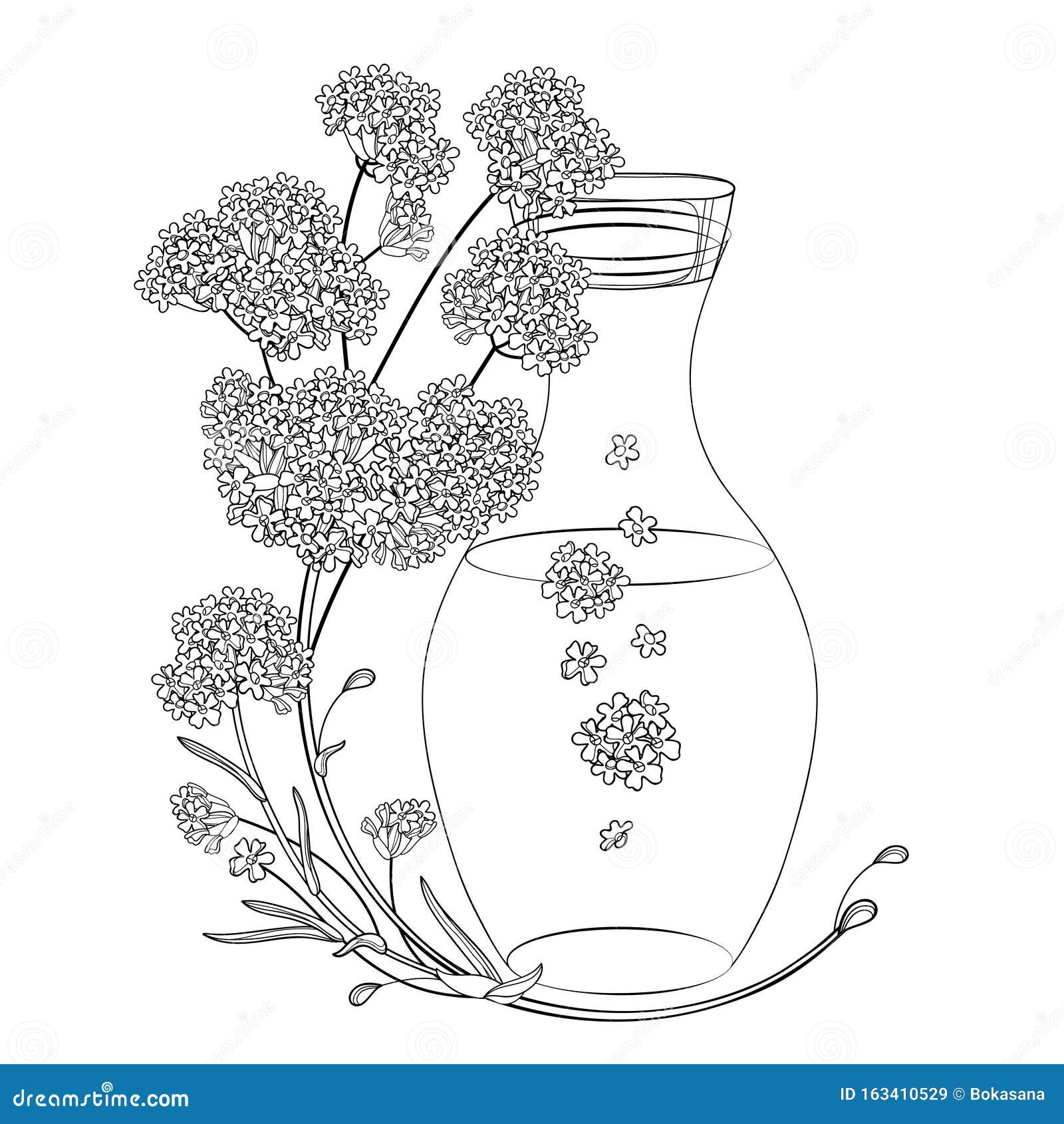 Verbena Bonariensis Purpletop, Argentinian Vervain. Hand Drawn Vector ...