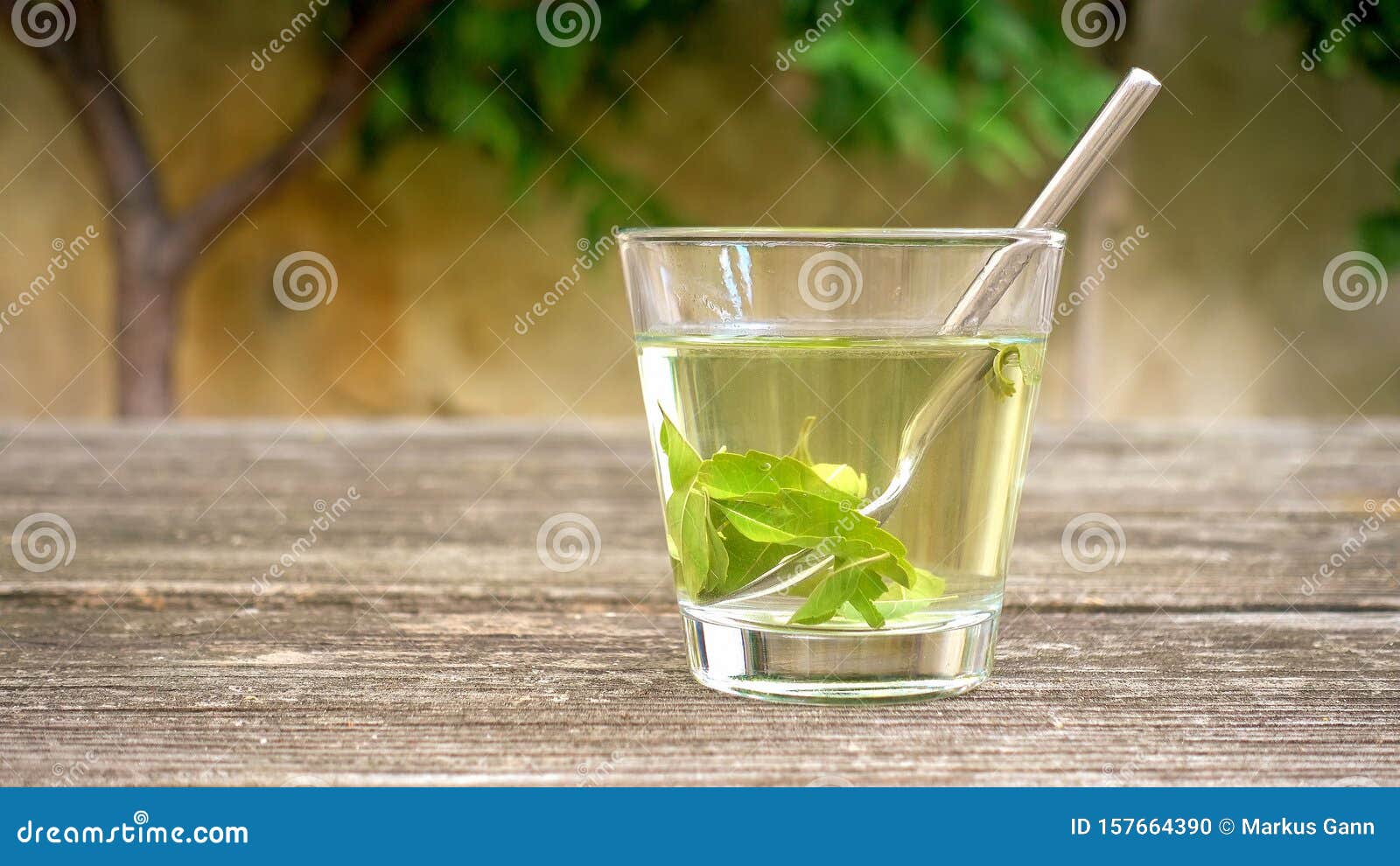 Verbena Tea on Old Wooden Planks Stock Photo - Image of life, focus ...