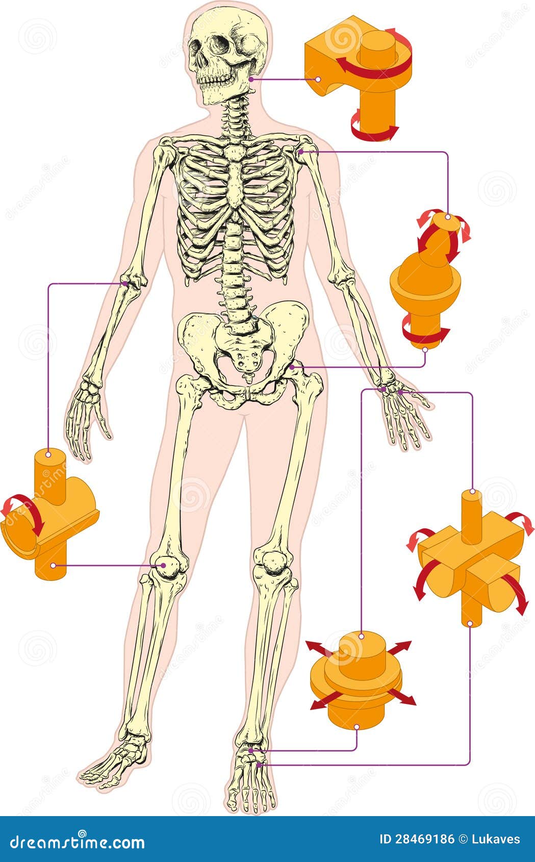 Verbindingen vector illustratie. Illustration of verbindingen - 28469186