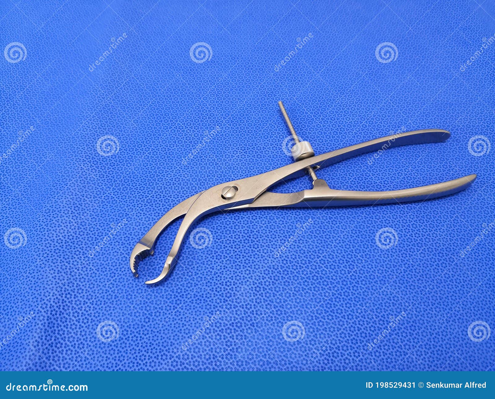 Verbrugge Bone Holding Forceps Stock Image - Image of holding ...