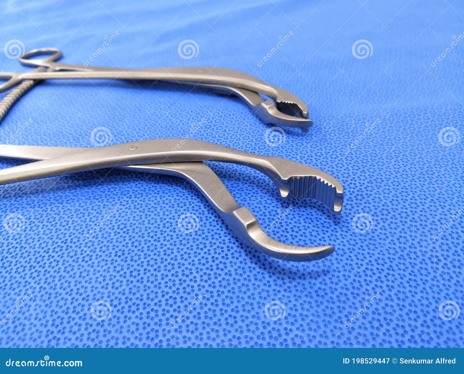 Verbrugge Bone Holding Forceps Tip Stock Image - Image of retract ...