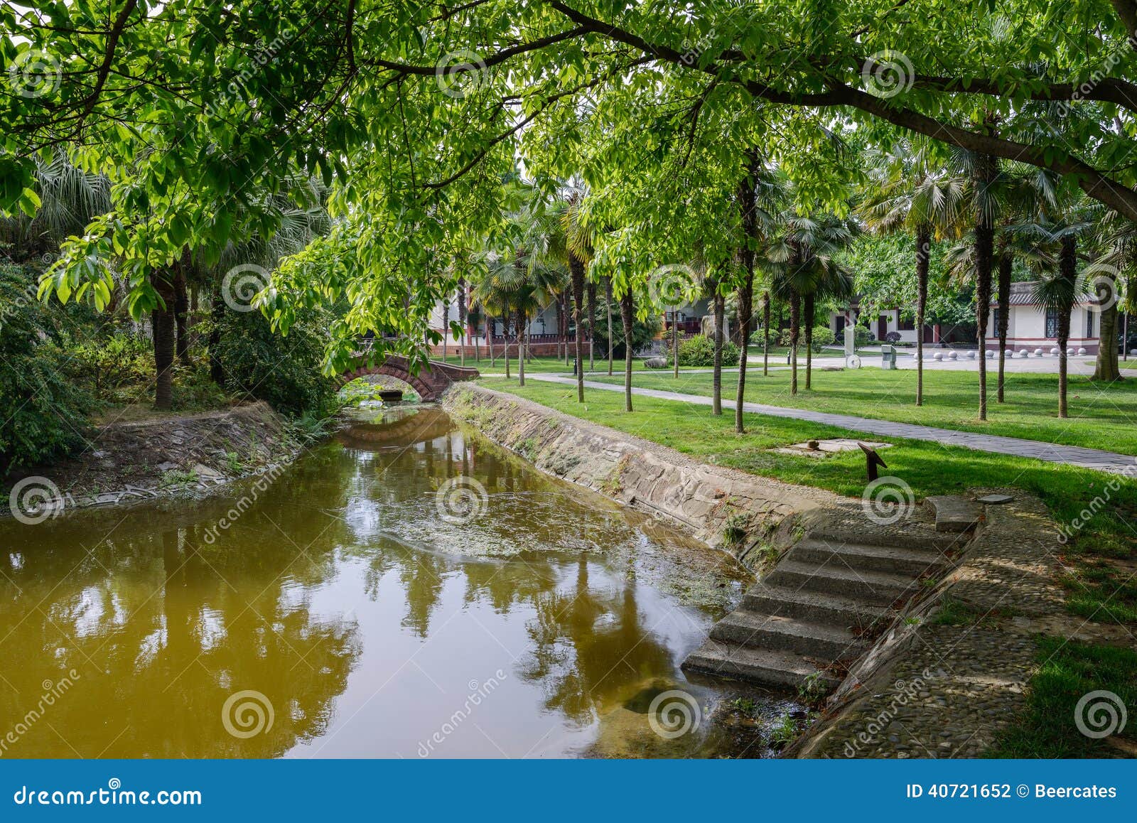 Verdant Spring at Lakeshore Stock Photo - Image of lakeside, steps ...